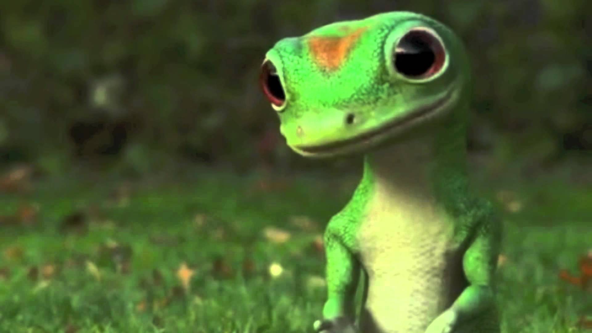 GEICO Wallpapers - Top Free GEICO Backgrounds - WallpaperAccess