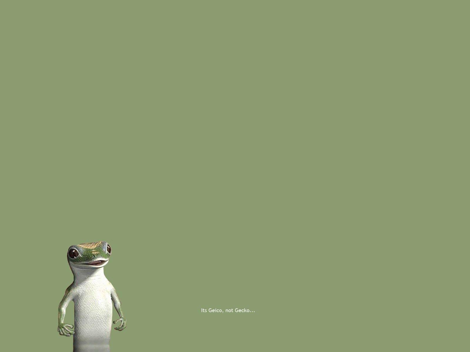 GEICO Wallpapers - Top Free GEICO Backgrounds - WallpaperAccess