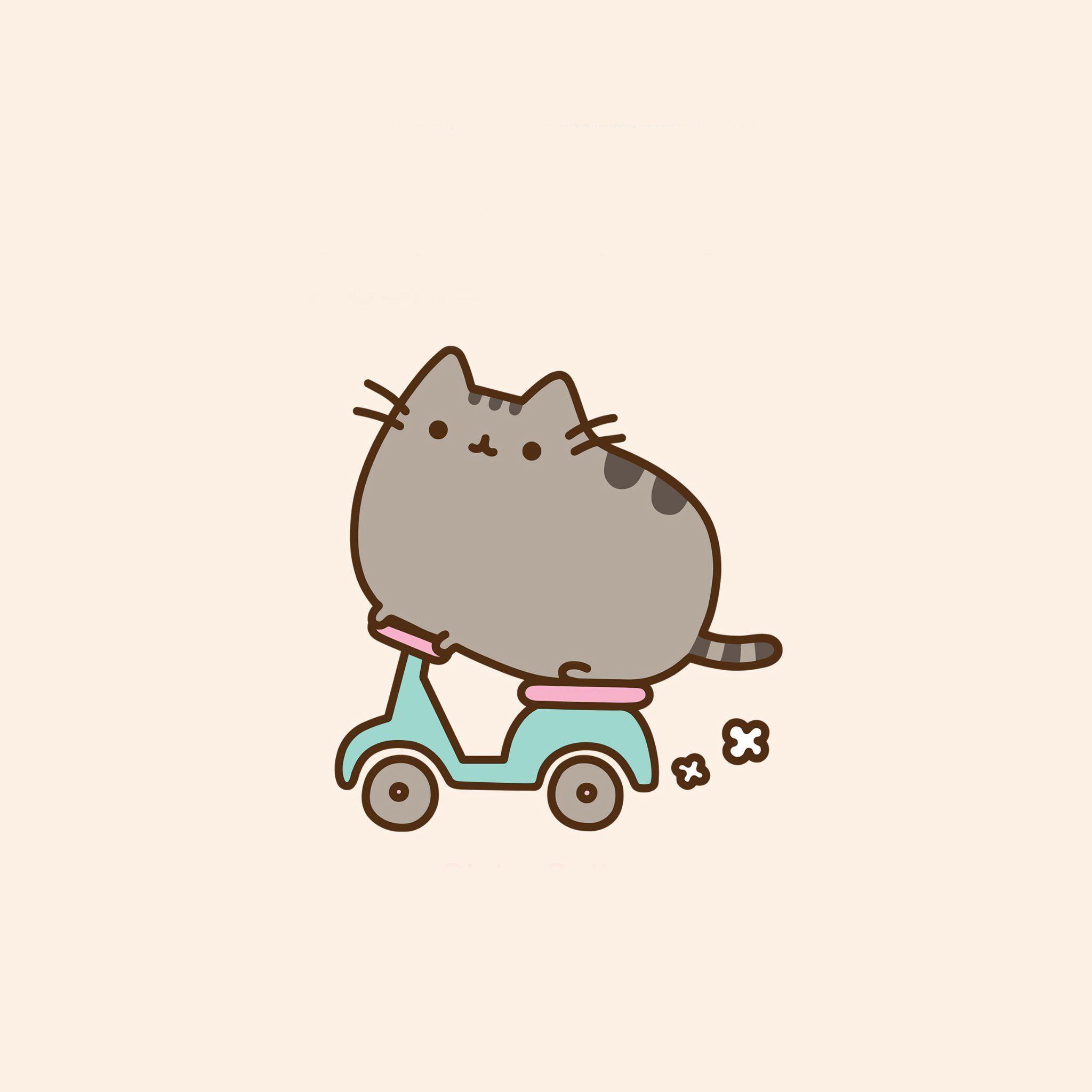 Pusheen PC Wallpapers - Top Free Pusheen PC Backgrounds - WallpaperAccess