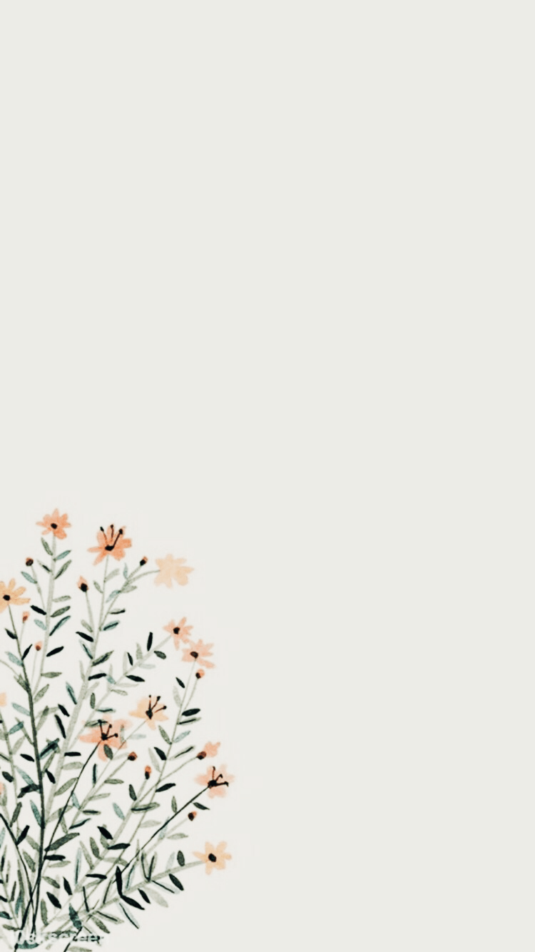 VSCO Minimalist Wallpapers - Top Free VSCO Minimalist Backgrounds ...
