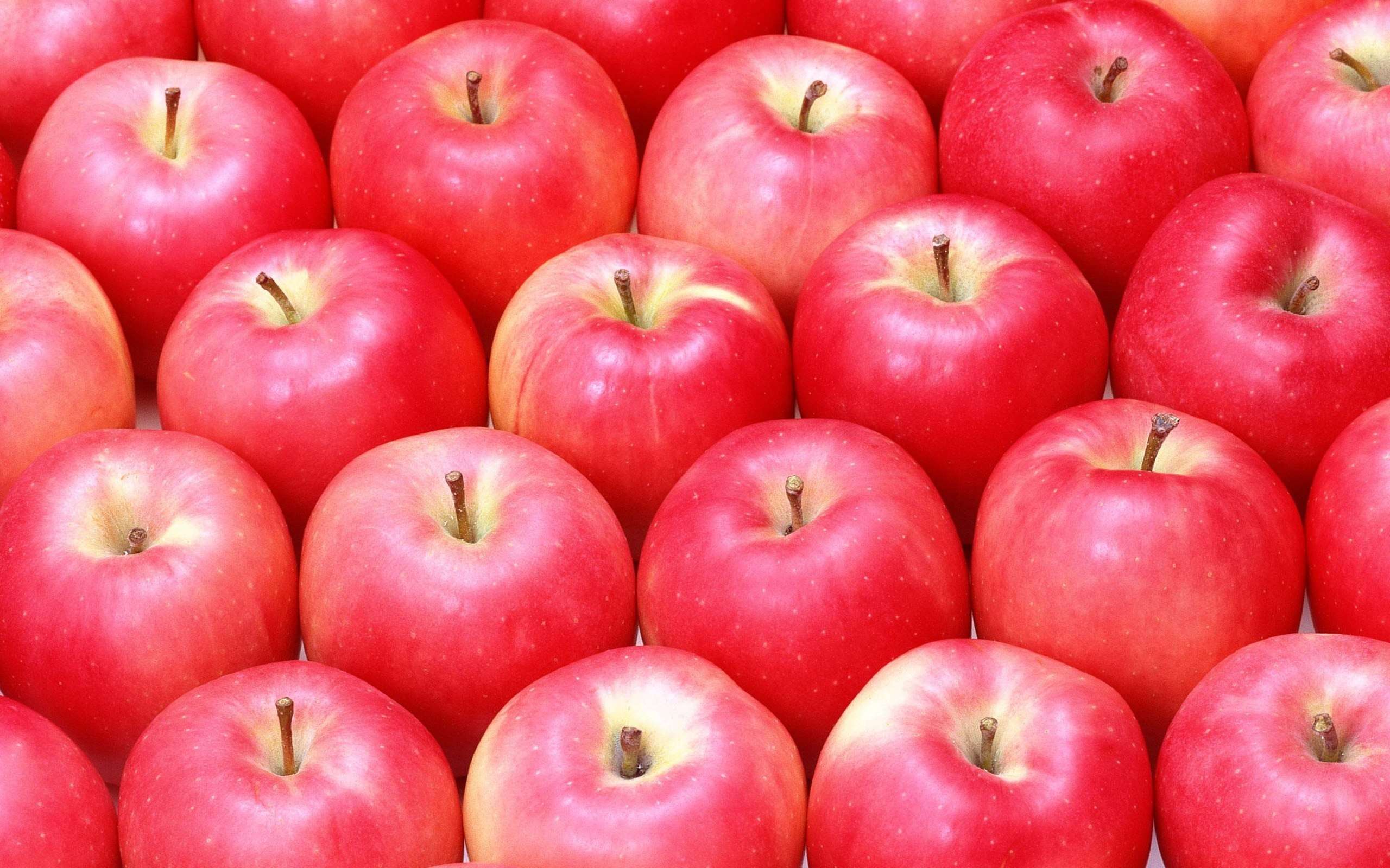 Fall Apples Wallpapers - Top Free Fall Apples Backgrounds - WallpaperAccess