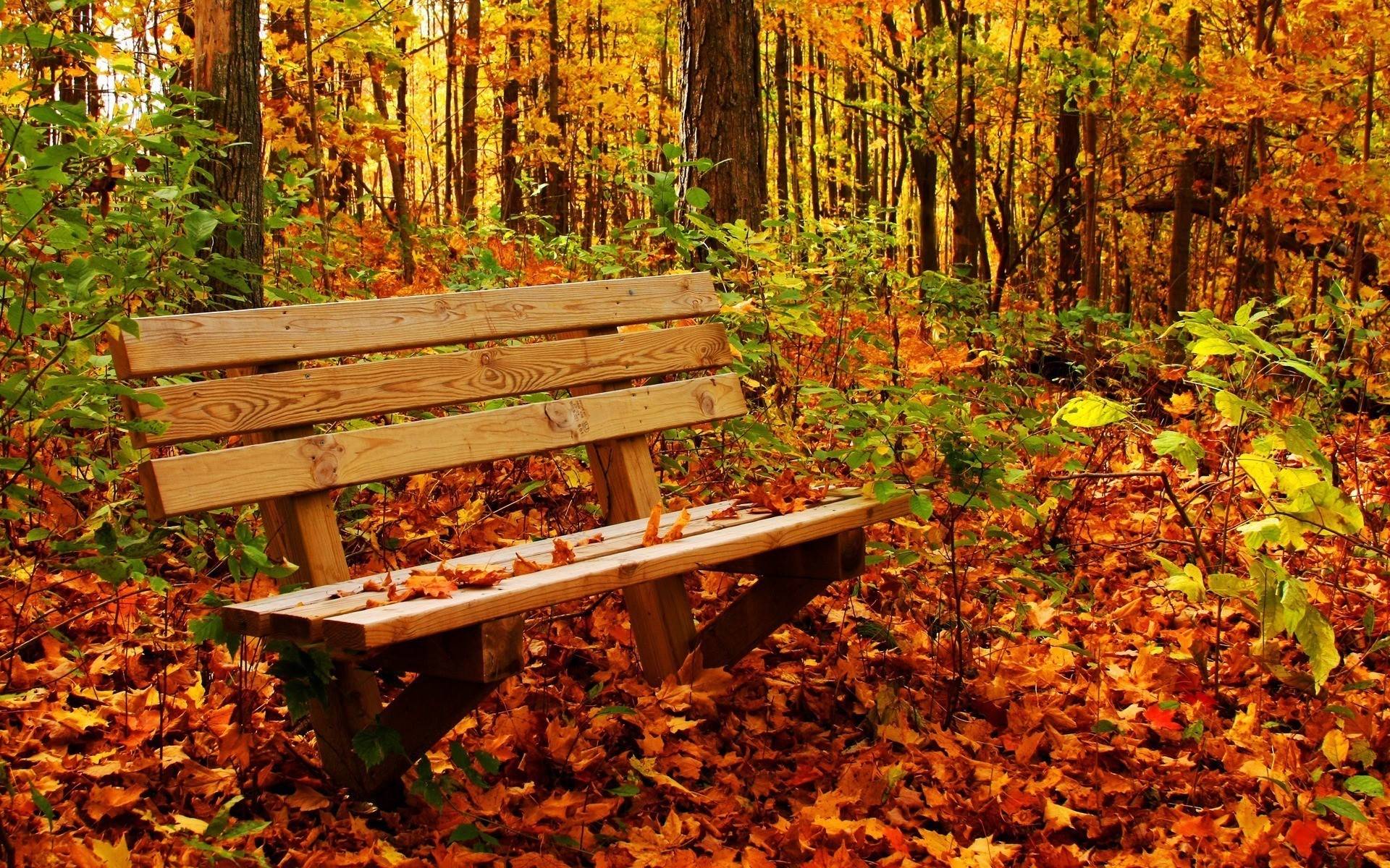 Autumn Nature Desktop Wallpapers - Top Free Autumn Nature Desktop ...