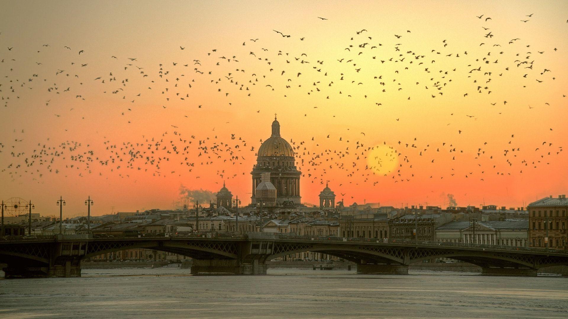 St. Petersburg Wallpapers - Top Free St. Petersburg Backgrounds - WallpaperAccess