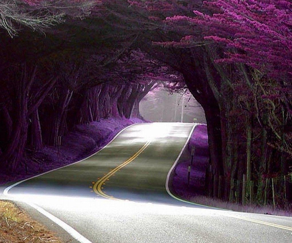 Beautiful Tunnels Wallpapers - Top Free Beautiful Tunnels Backgrounds ...