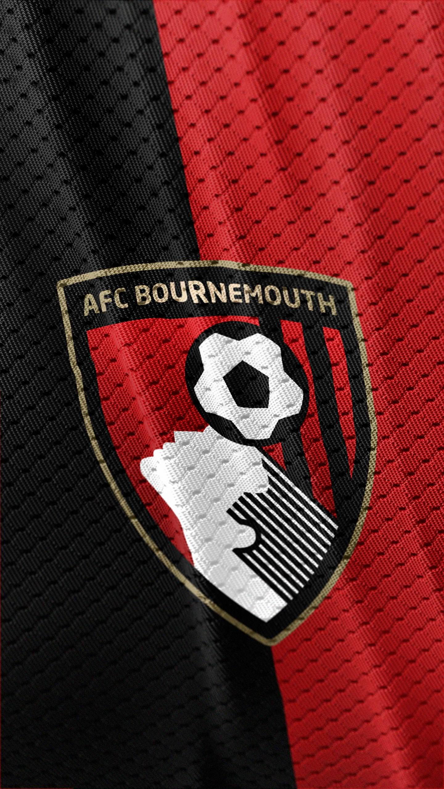 AFC Bournemouth Wallpapers - Top Free AFC Bournemouth Backgrounds ...