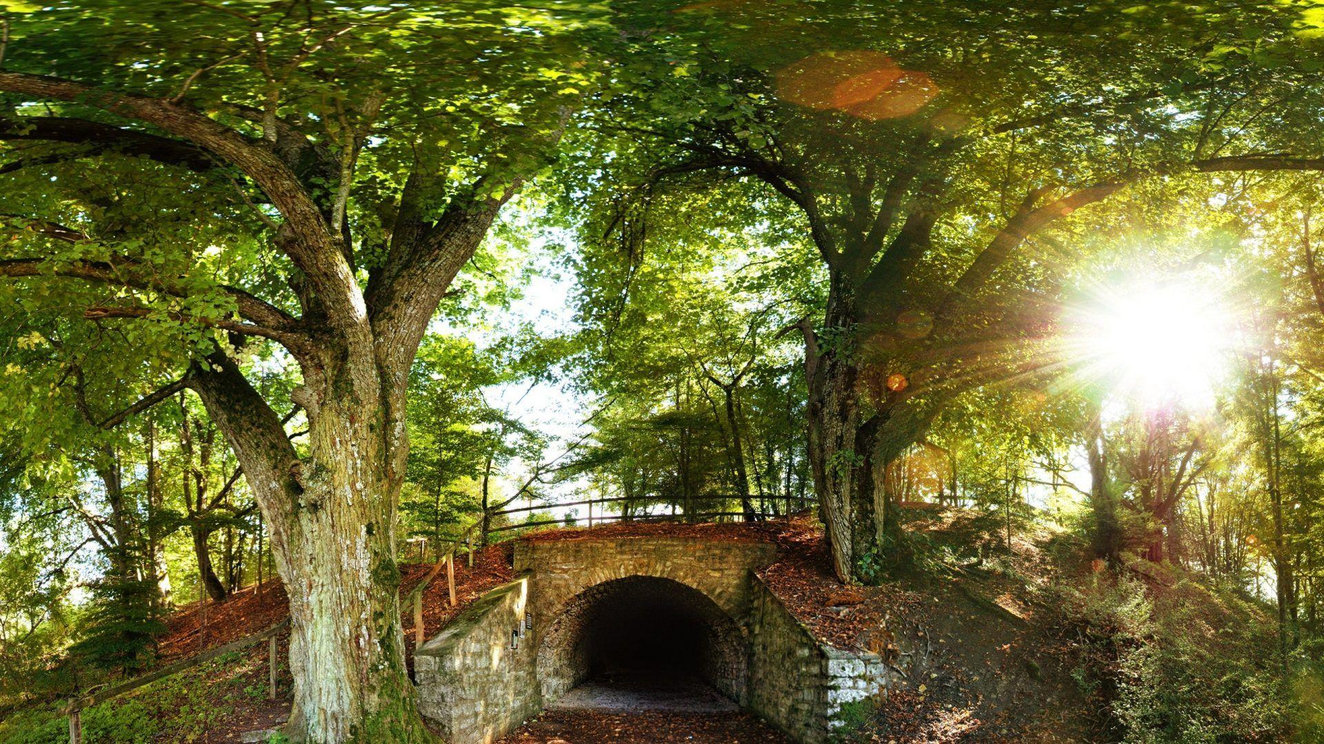 Beautiful Tunnels Wallpapers - Top Free Beautiful Tunnels Backgrounds ...