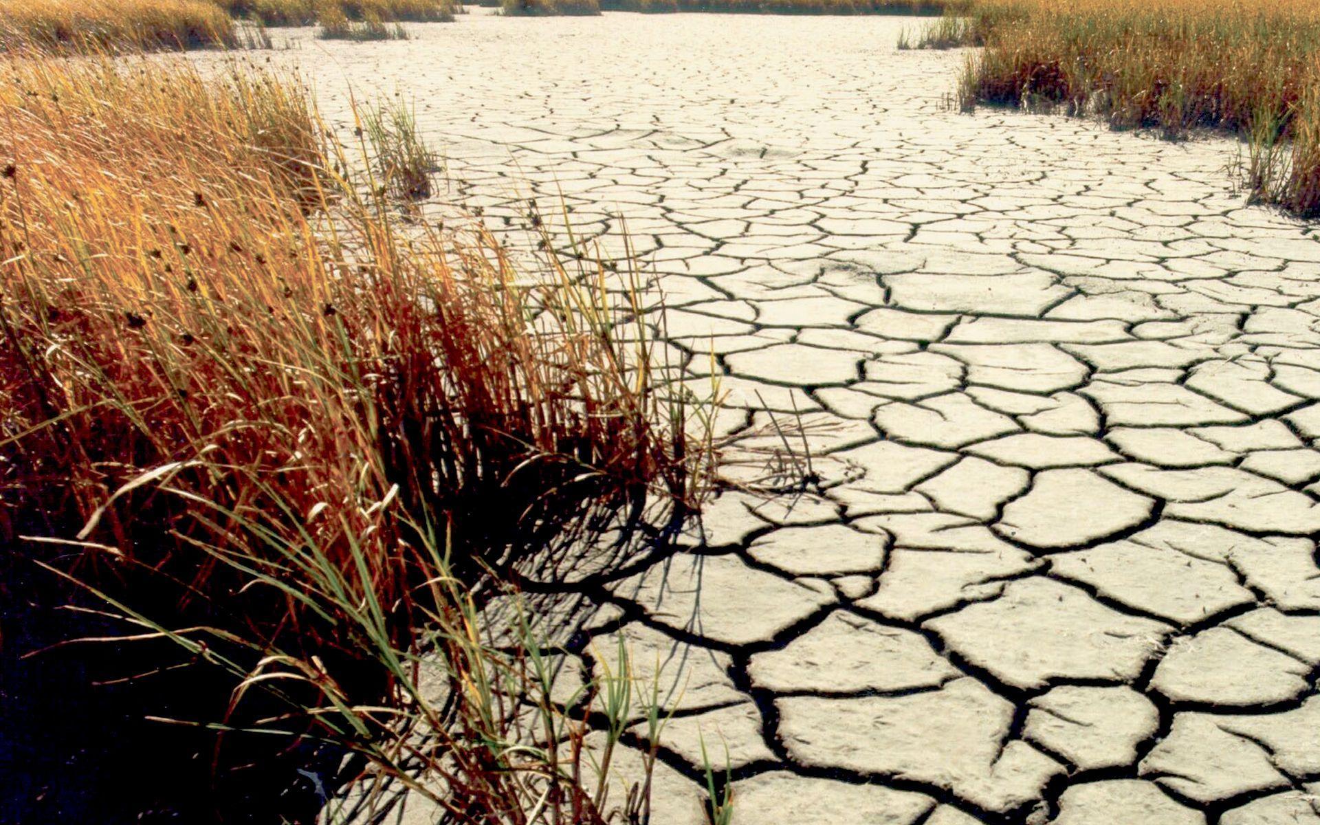 Drought Wallpapers - Top Free Drought Backgrounds - WallpaperAccess