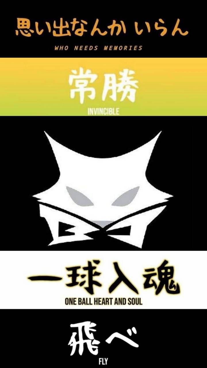 MSBY Wallpapers - Top Free MSBY Backgrounds - WallpaperAccess