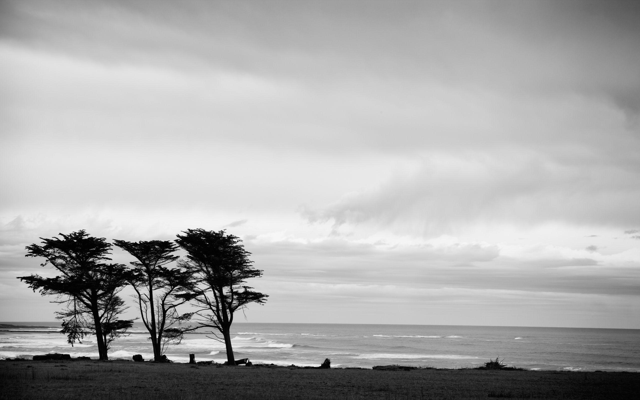 Flickr Desktop Wallpapers - Top Free Flickr Desktop Backgrounds ...