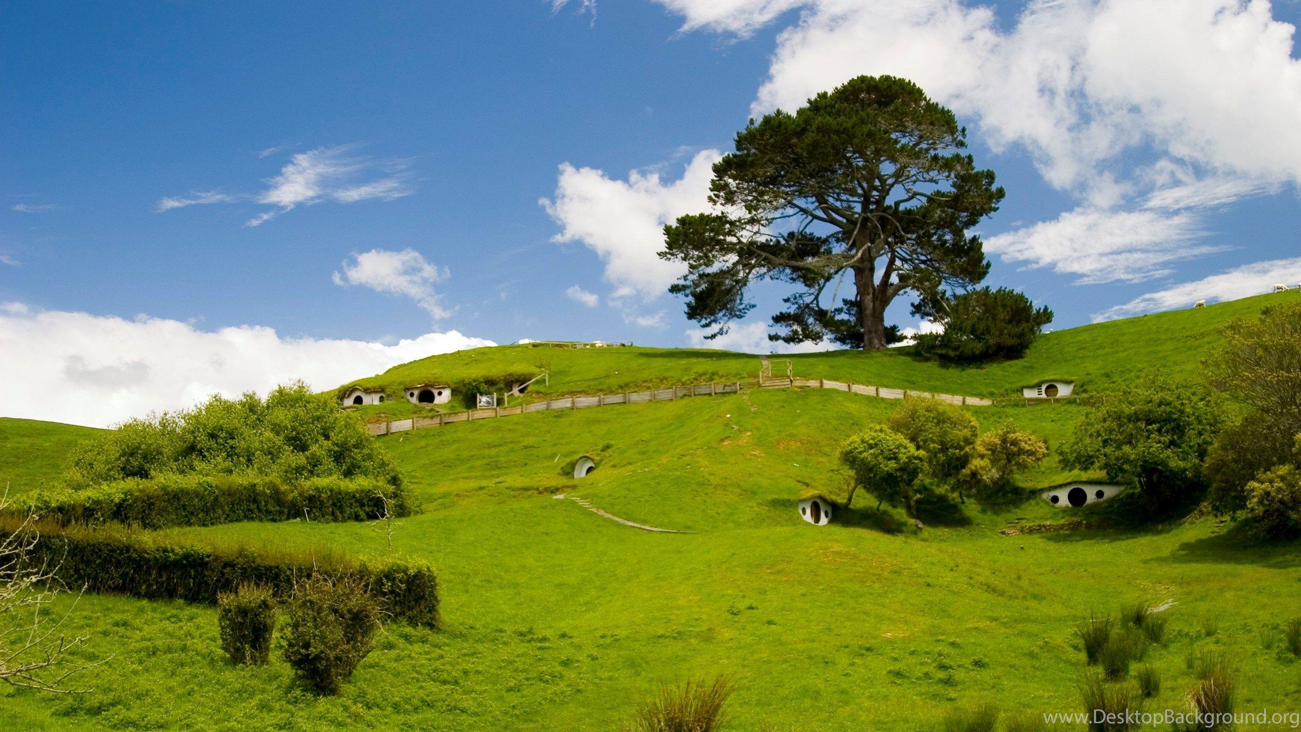 Flickr Desktop Wallpapers - Top Free Flickr Desktop Backgrounds ...