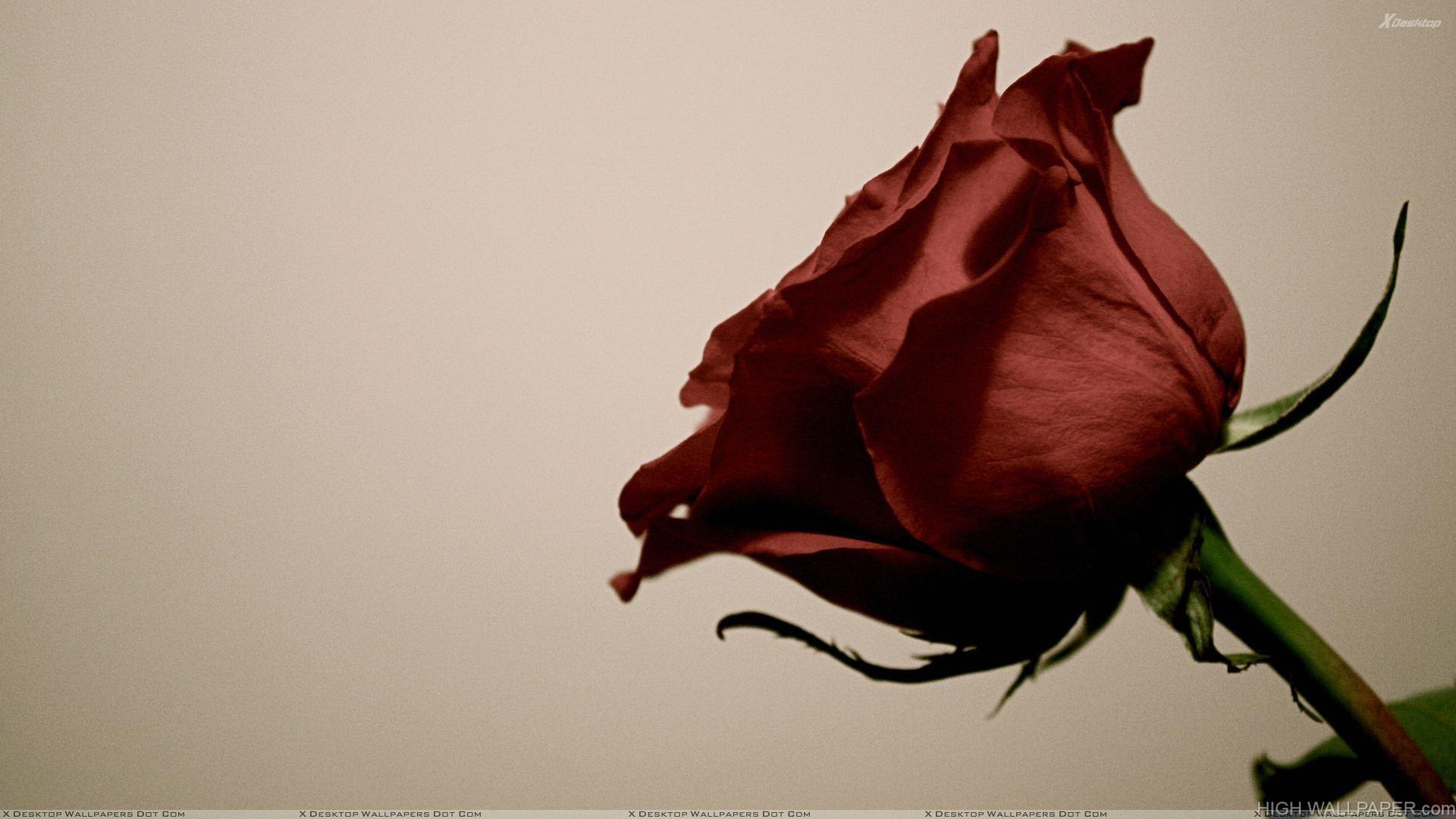 Old Red Wallpapers - Top Free Old Red Backgrounds - WallpaperAccess