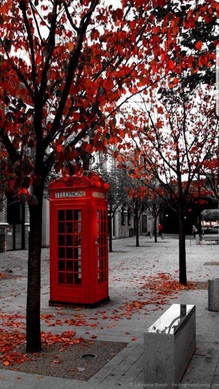 London in Autumn Wallpapers - Top Free London in Autumn Backgrounds ...