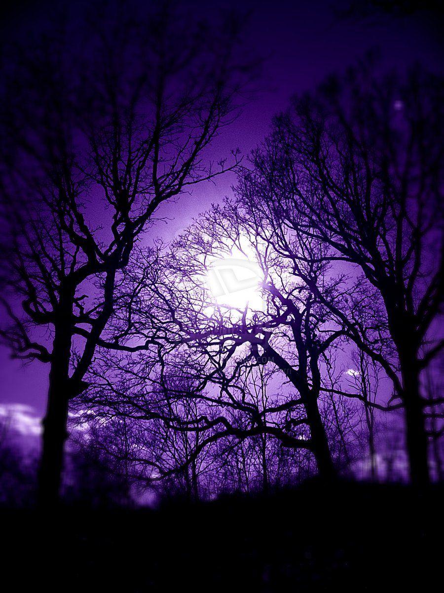 Spooky Tree Wallpapers - Top Free Spooky Tree Backgrounds - WallpaperAccess