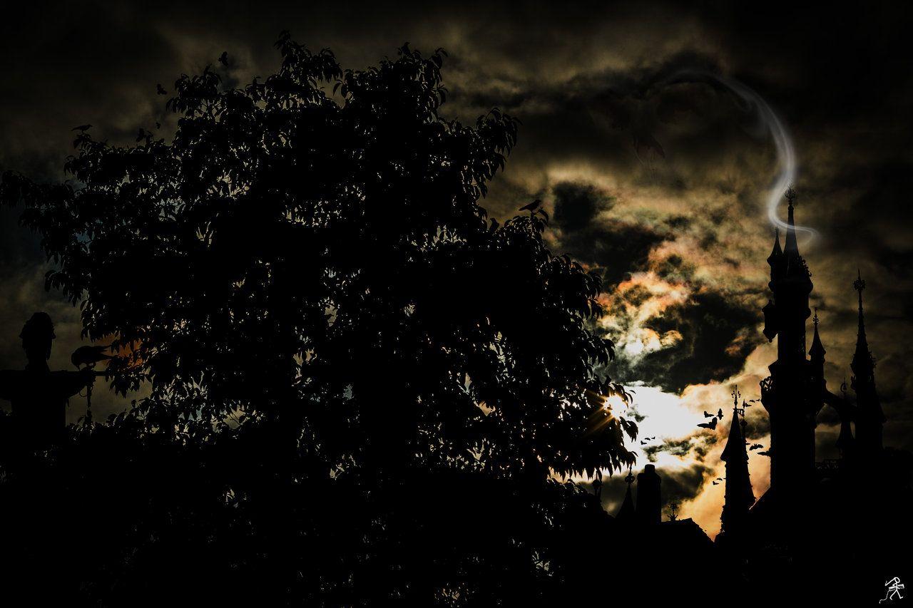 Black Summer Wallpapers - Top Free Black Summer Backgrounds ...