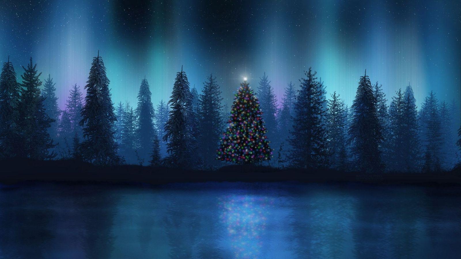 Forest Christmas Wallpapers - Top Free Forest Christmas Backgrounds ...