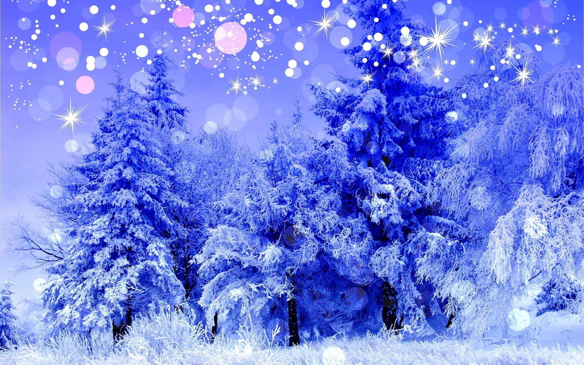 Forest Christmas Wallpapers - Top Free Forest Christmas Backgrounds ...