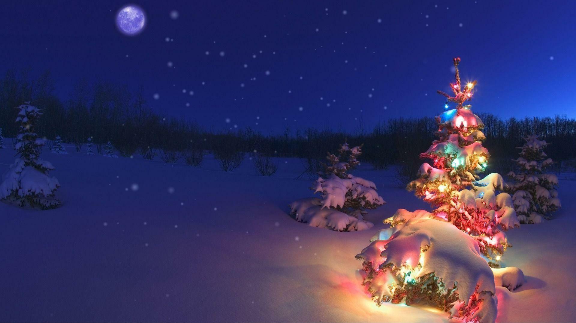 Forest Christmas Wallpapers - Top Free Forest Christmas Backgrounds ...