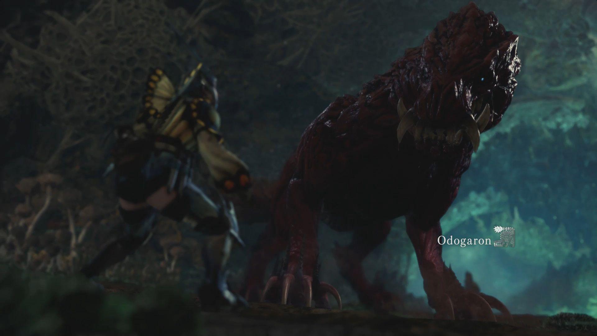 Odogaron Wallpapers - Top Free Odogaron Backgrounds - WallpaperAccess