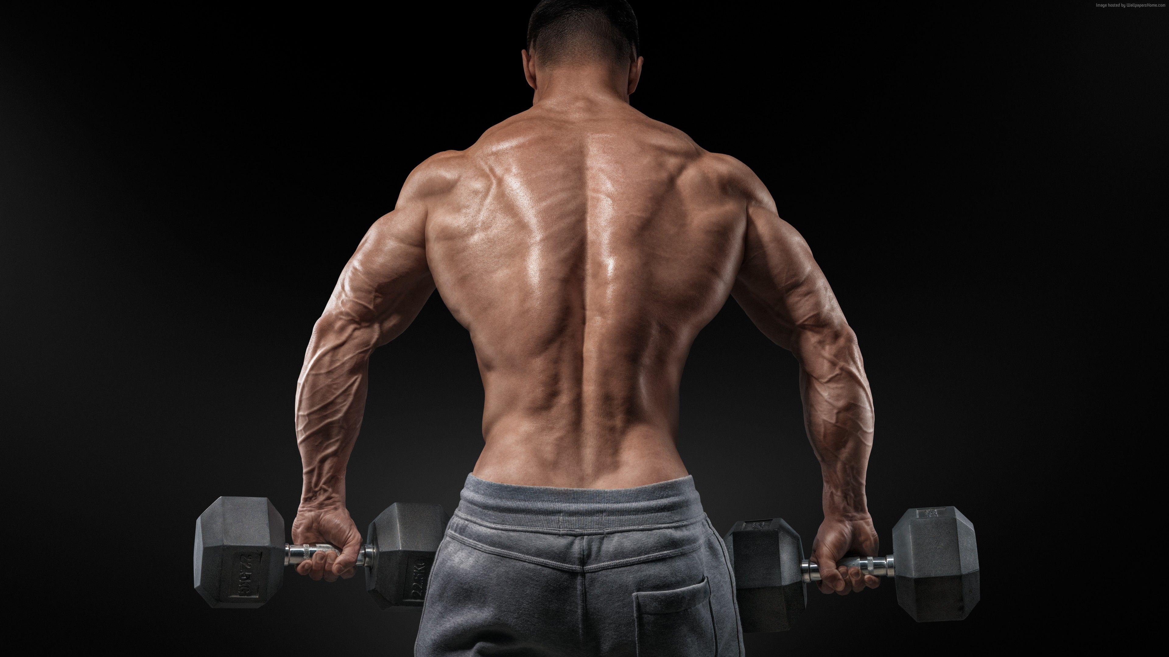 Back Muscle Wallpapers - Top Free Back Muscle Backgrounds - WallpaperAccess