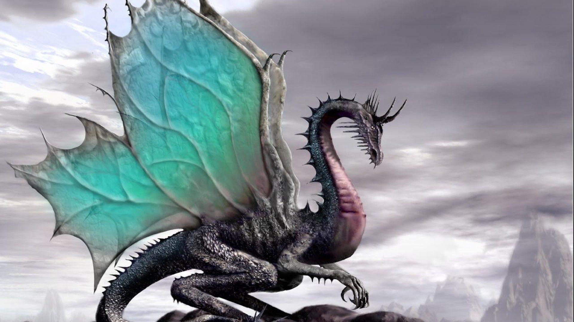 Flying Dragon Wallpapers - Top Free Flying Dragon Backgrounds ...