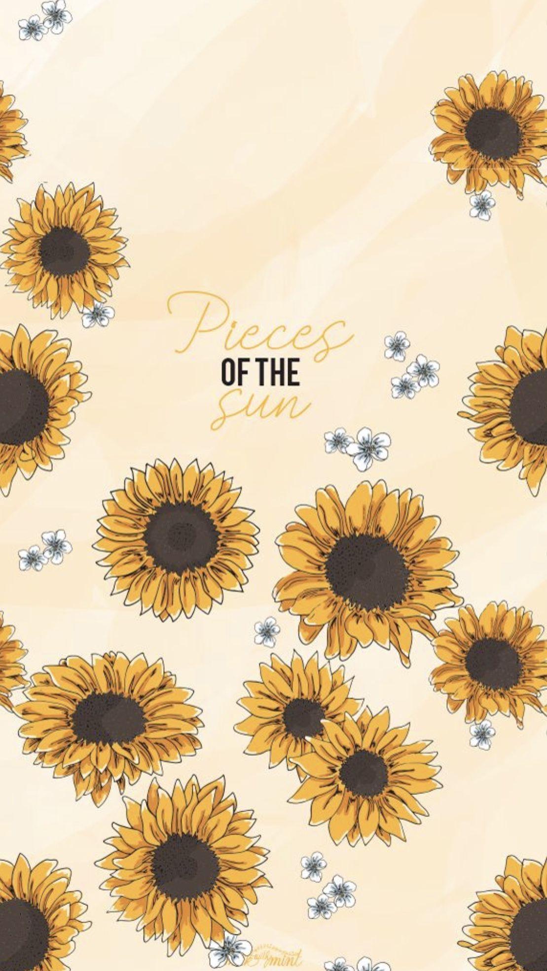 Sunflower Girl Wallpapers - Top Free Sunflower Girl Backgrounds ...