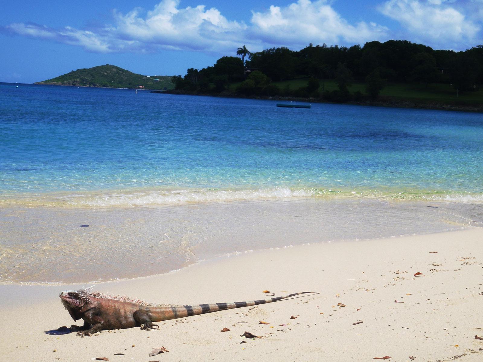 Saint Croix Wallpapers - Top Free Saint Croix Backgrounds - WallpaperAccess