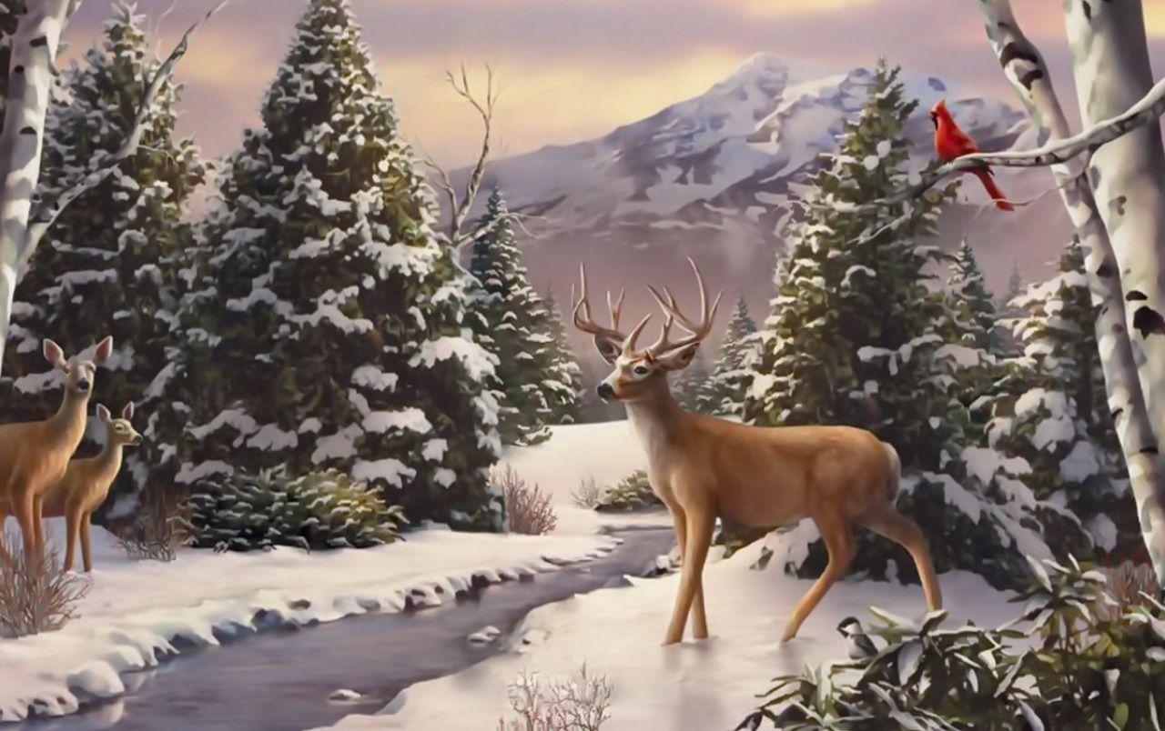 Winter Deer Wallpapers - Top Free Winter Deer Backgrounds - WallpaperAccess