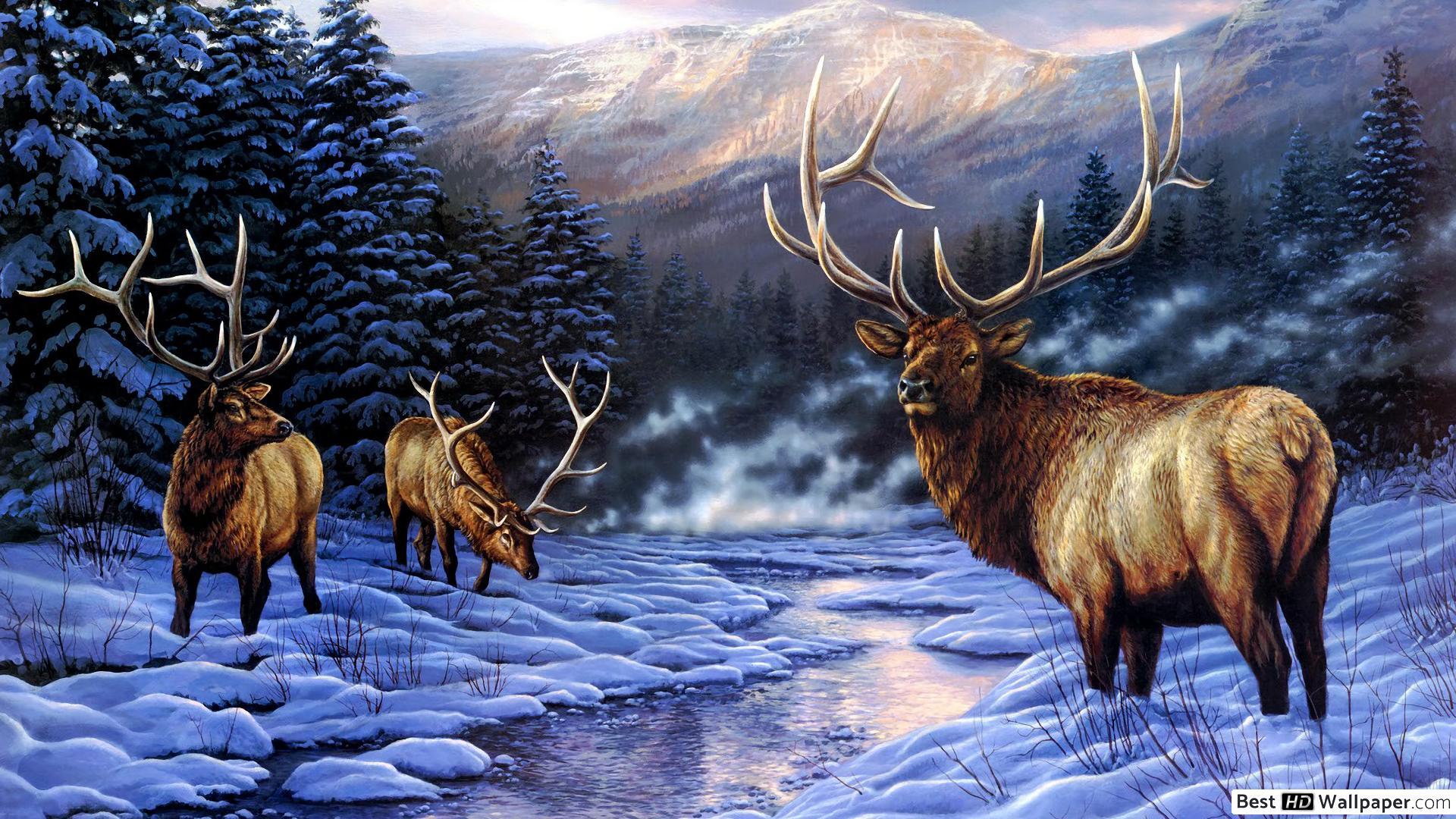Winter Deer Wallpapers - Top Free Winter Deer Backgrounds - WallpaperAccess