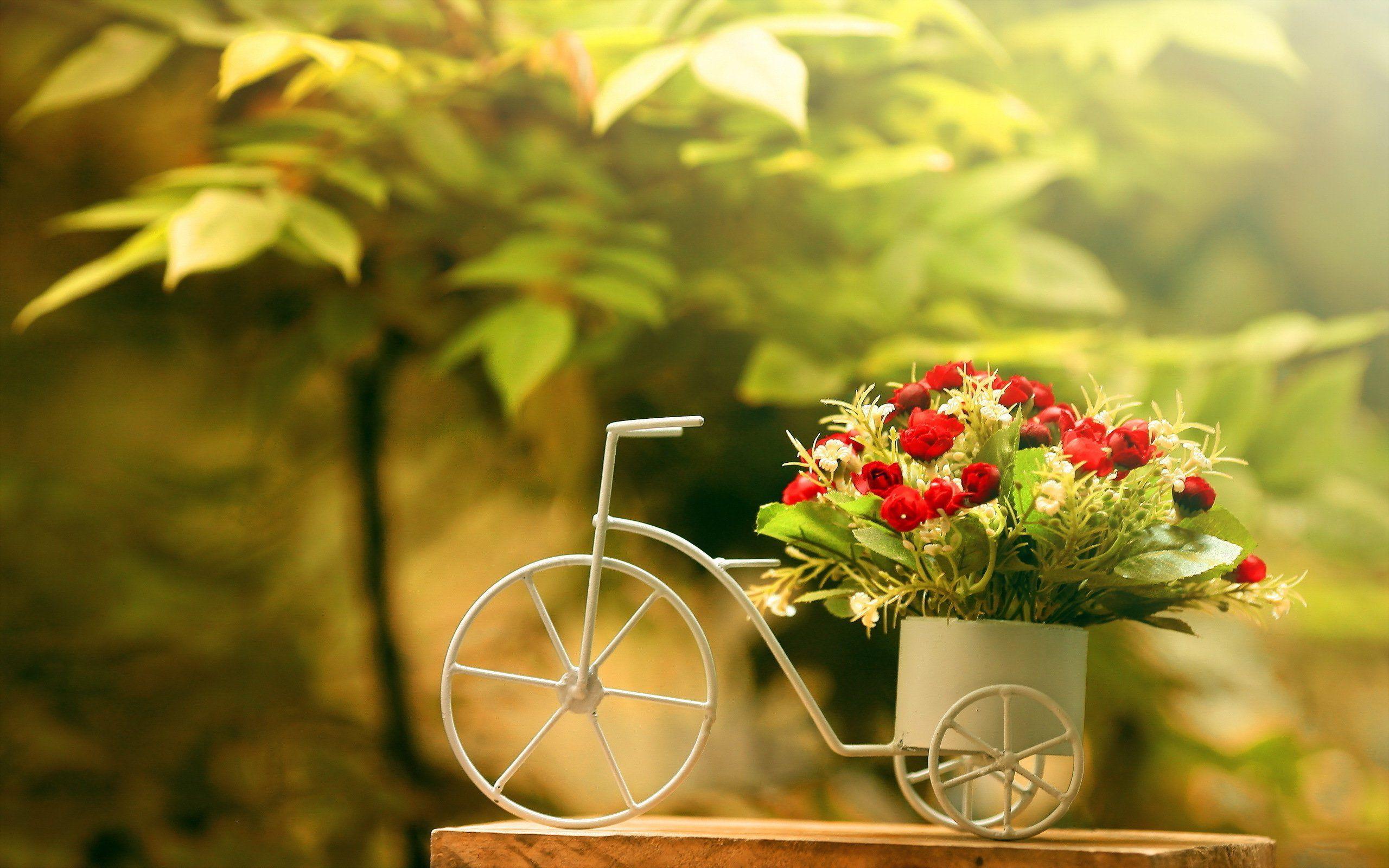 Bicycle Flowers Wallpapers - Top Free Bicycle Flowers Backgrounds ...