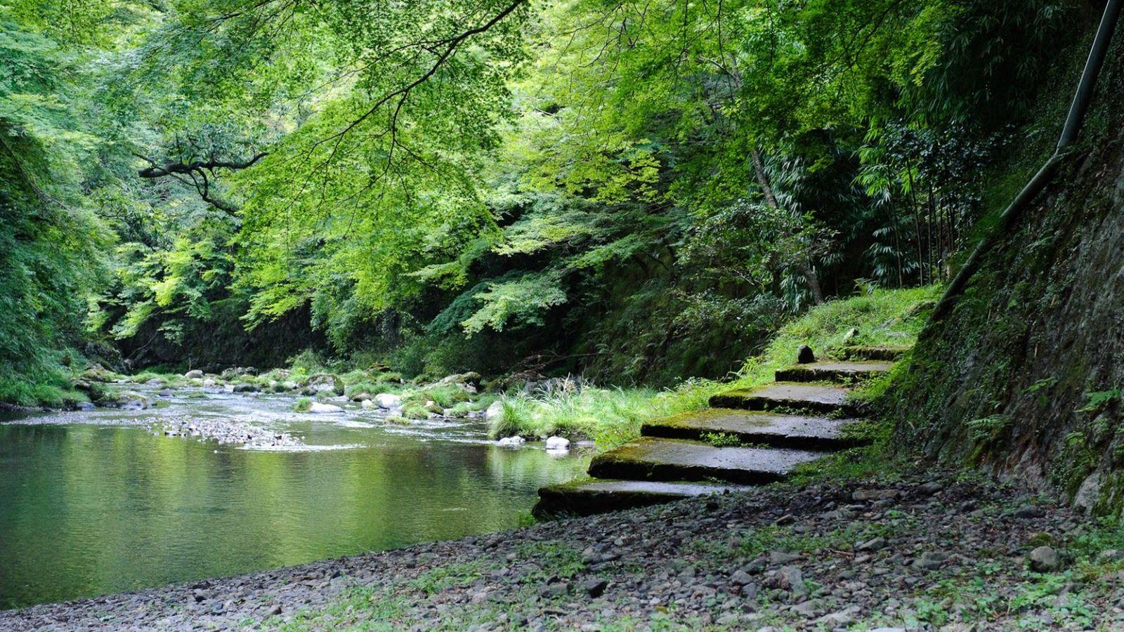 Real Nature Wallpapers - Top Free Real Nature Backgrounds - WallpaperAccess