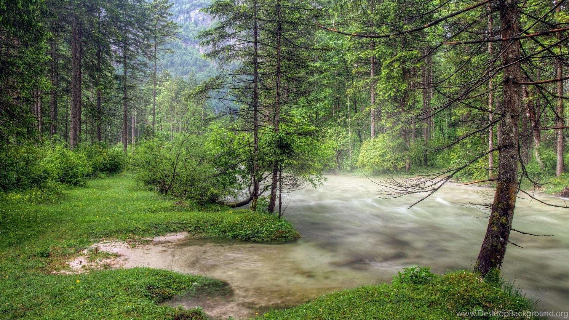 Real Nature Wallpapers - Top Free Real Nature Backgrounds - WallpaperAccess