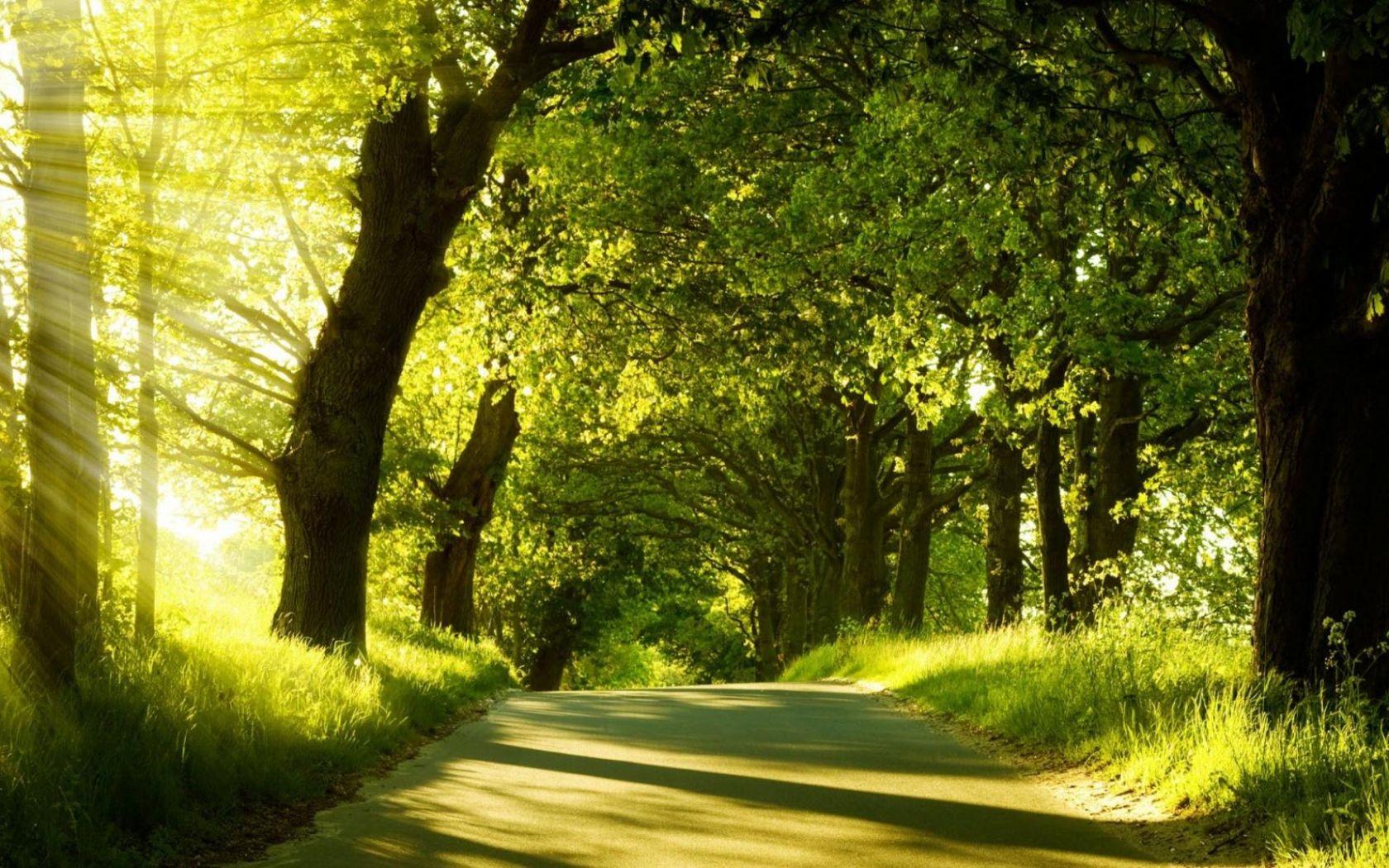 Real Nature Wallpapers - Top Free Real Nature Backgrounds - WallpaperAccess