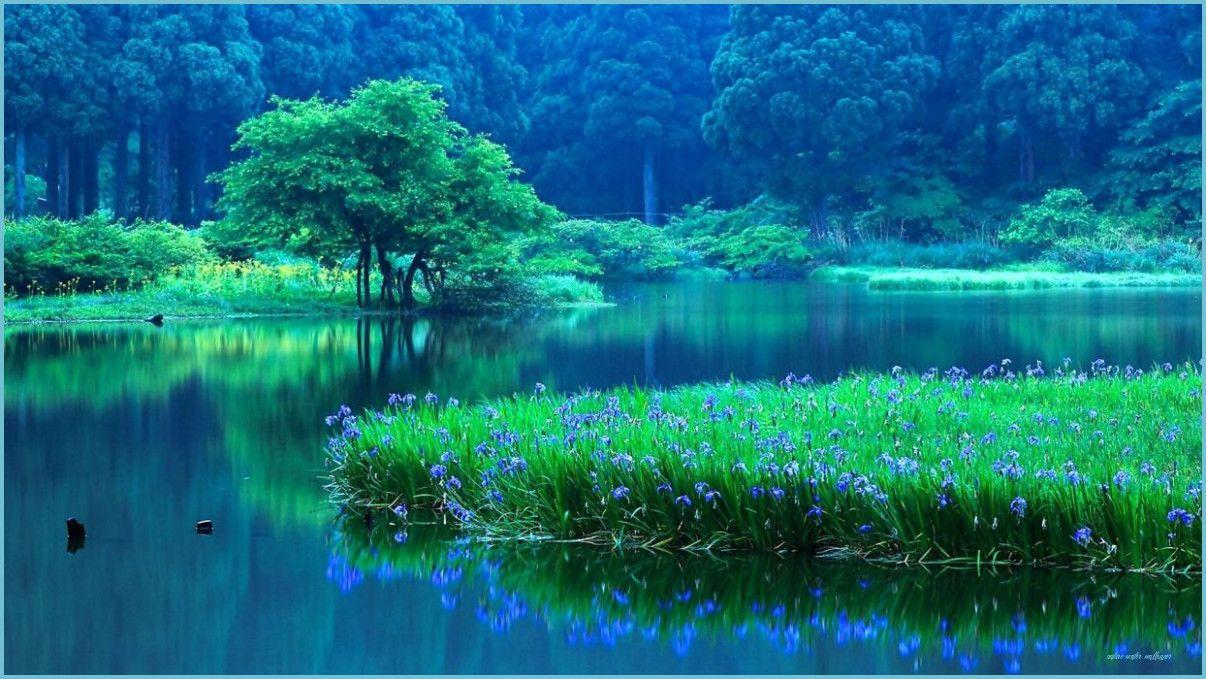 Green Nature Water Wallpapers - Top Free Green Nature Water Backgrounds ...