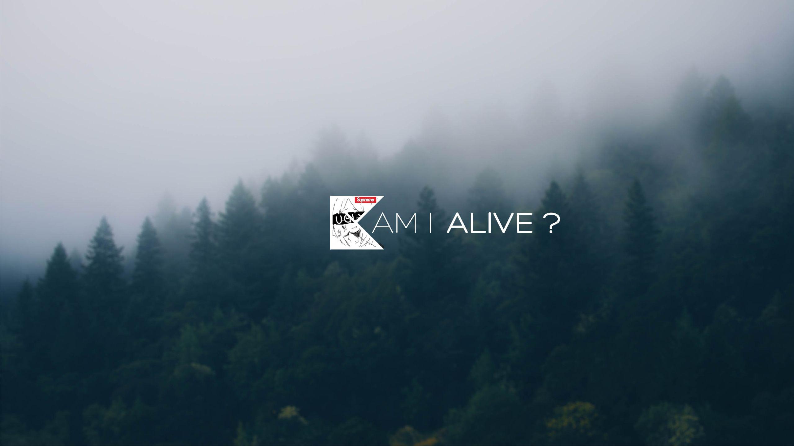 2560X1440 Supreme Wallpapers - Top Free 2560X1440 Supreme Backgrounds ...