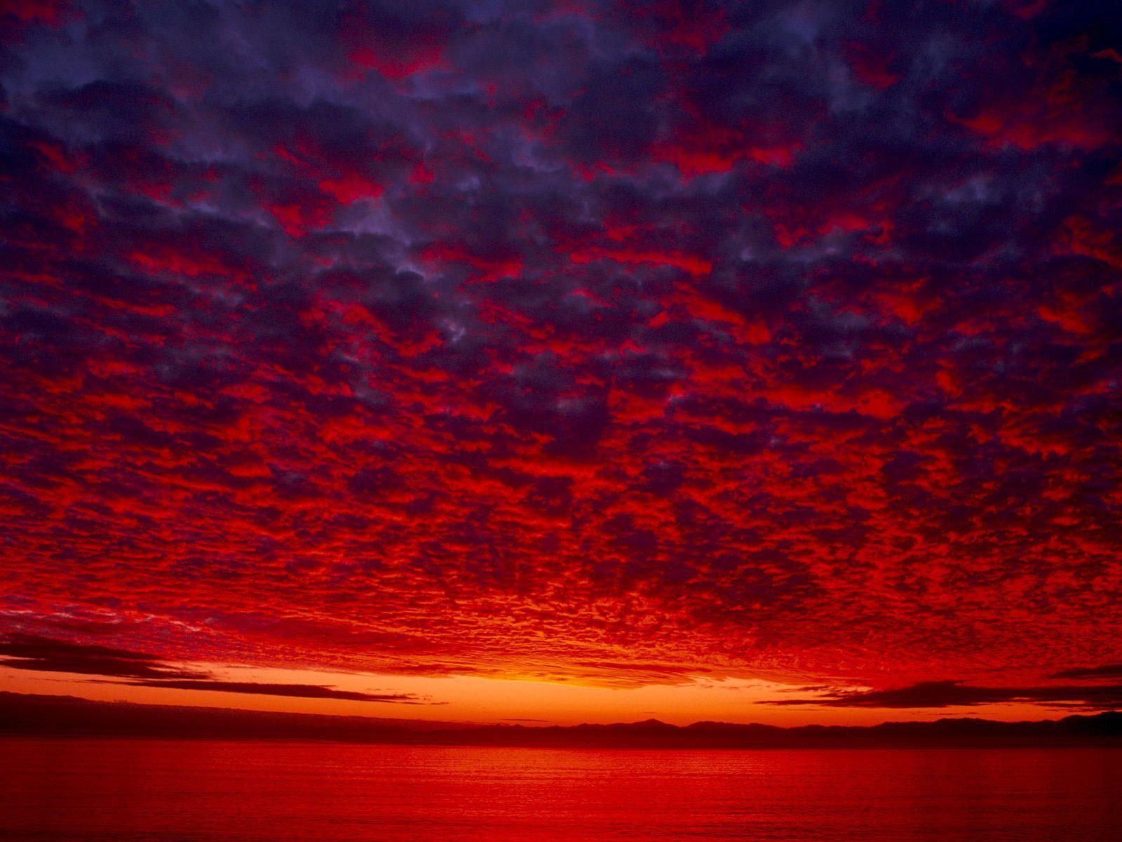 Crimson Red Wallpapers - Top Free Crimson Red Backgrounds - WallpaperAccess