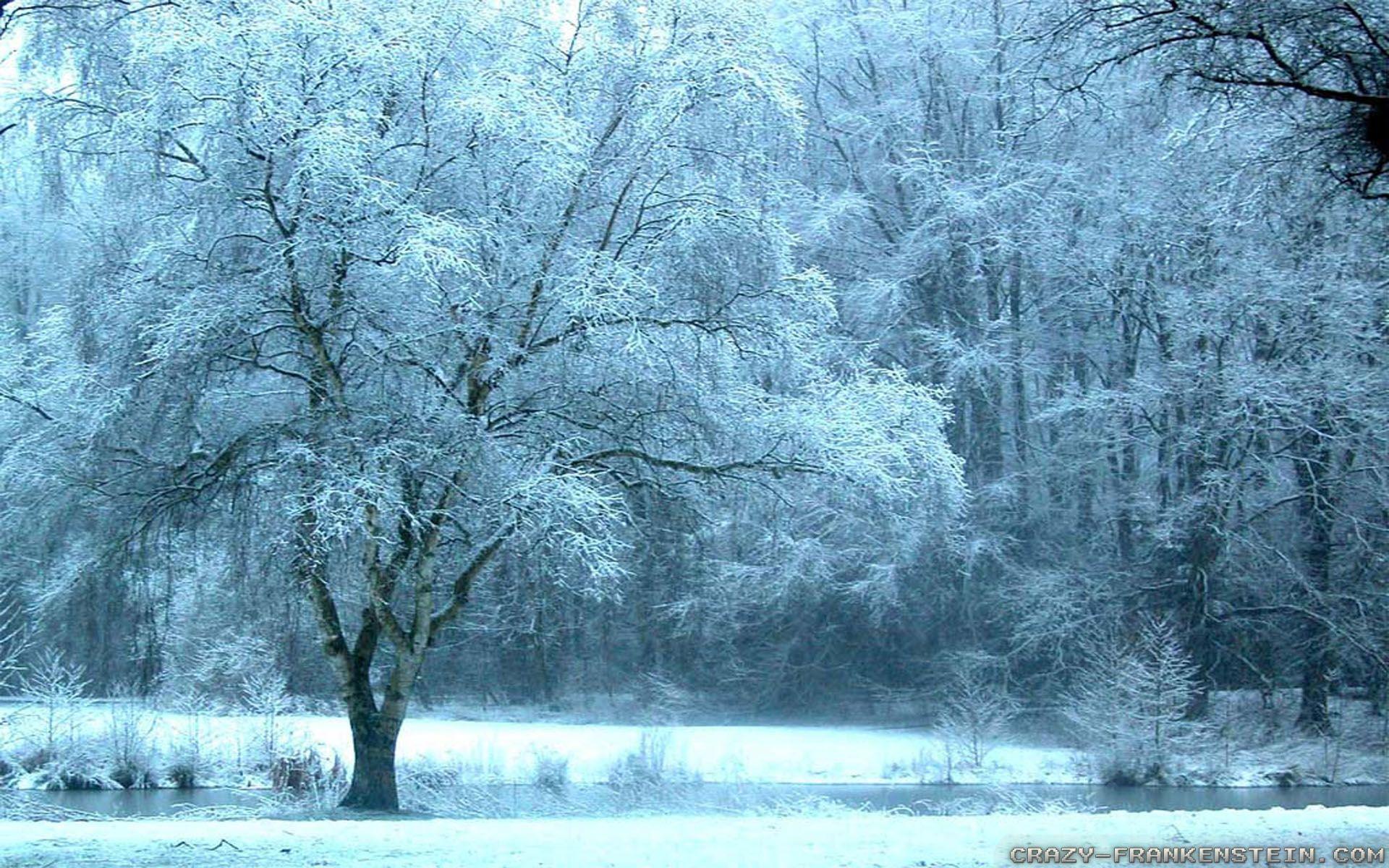 Magical Winter Wallpapers - Top Free Magical Winter Backgrounds ...