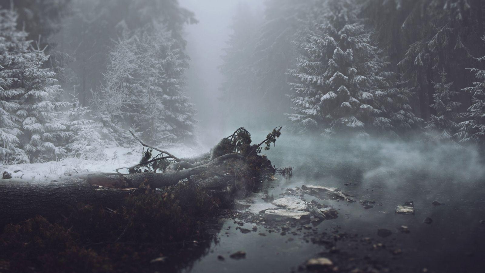 Magical Winter Wallpapers - Top Free Magical Winter Backgrounds ...