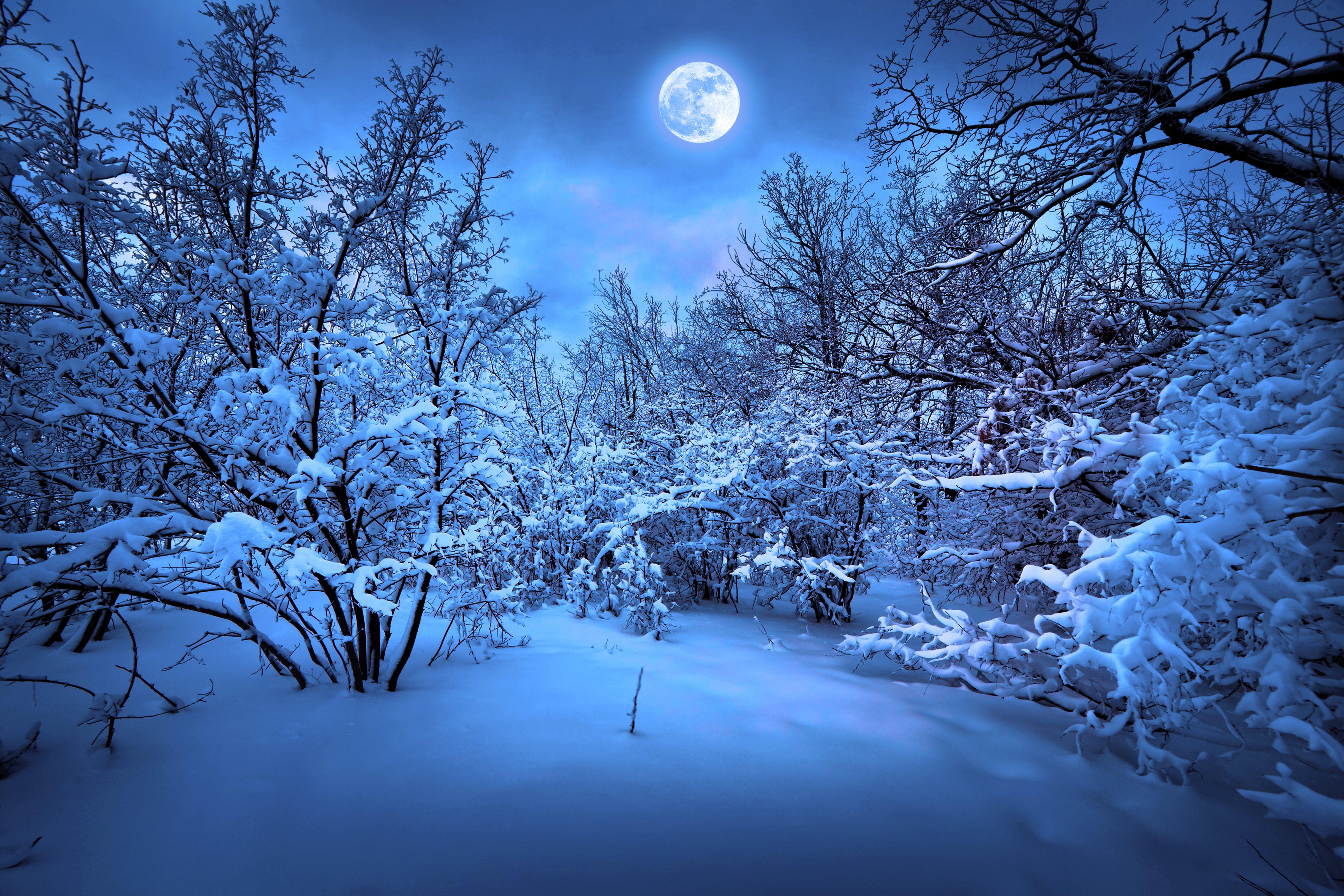 Magical Winter Wallpapers - Top Free Magical Winter Backgrounds ...