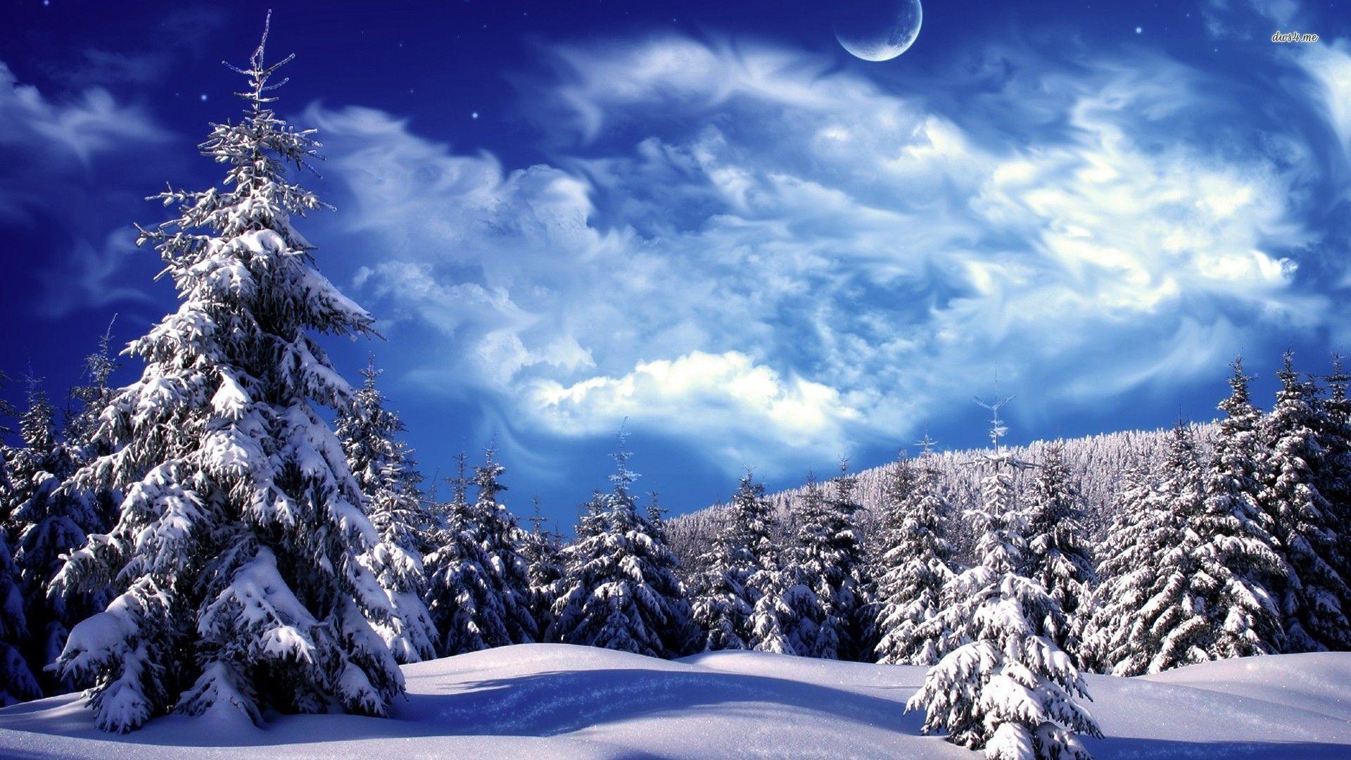 Magical Winter Wallpapers - Top Free Magical Winter Backgrounds ...