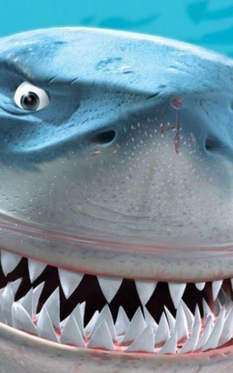 Nemo Shark Wallpapers - Top Free Nemo Shark Backgrounds - WallpaperAccess