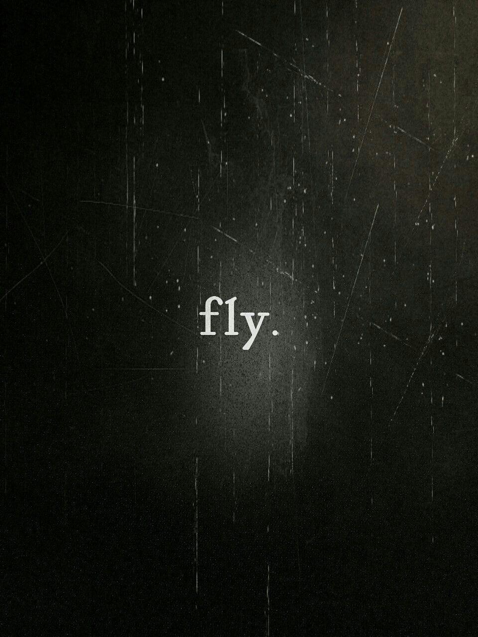 Haikyuu Fly Wallpapers - Top Free Haikyuu Fly Backgrounds - WallpaperAccess