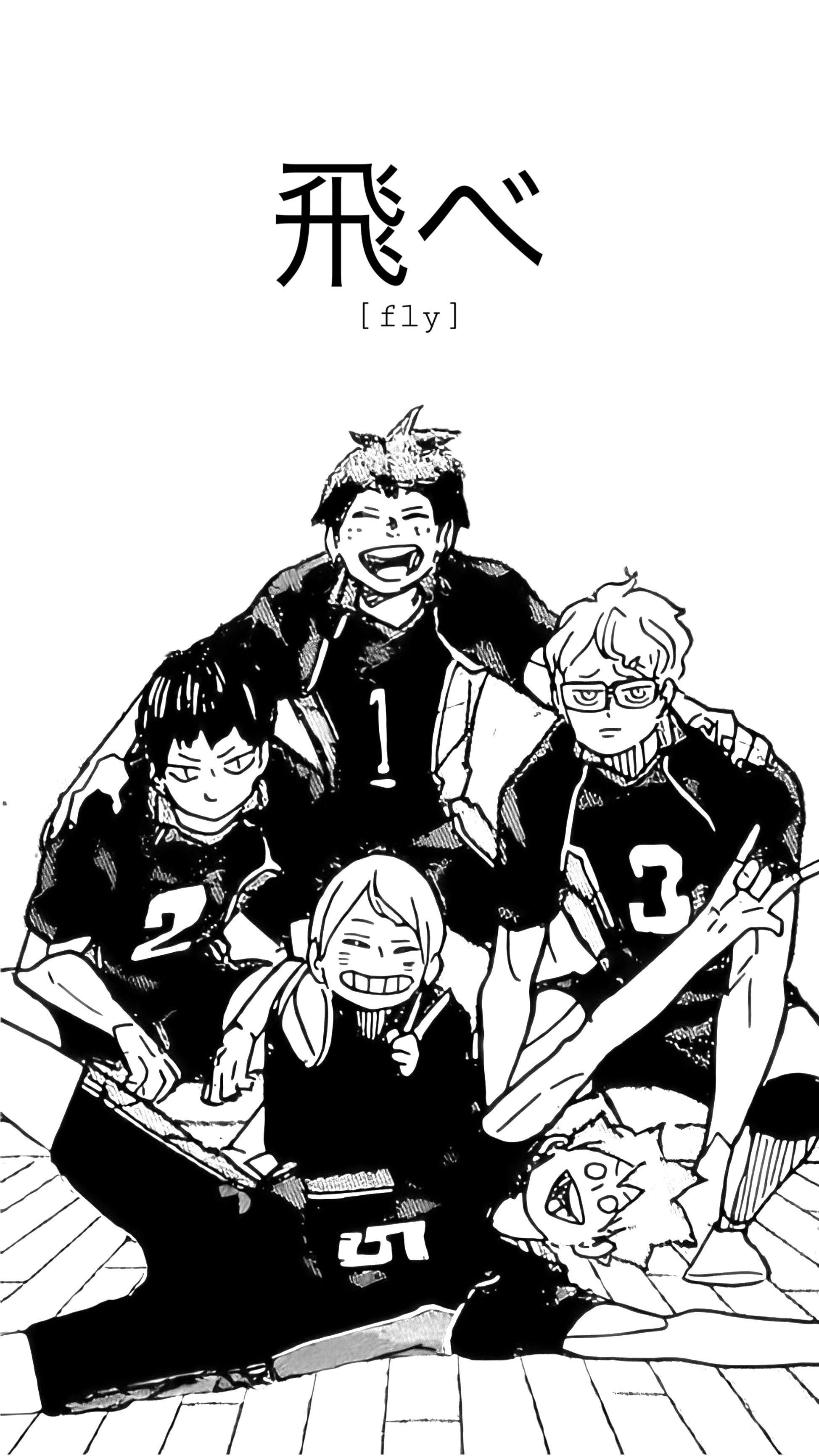 Haikyuu Fly Wallpapers - Top Free Haikyuu Fly Backgrounds - WallpaperAccess