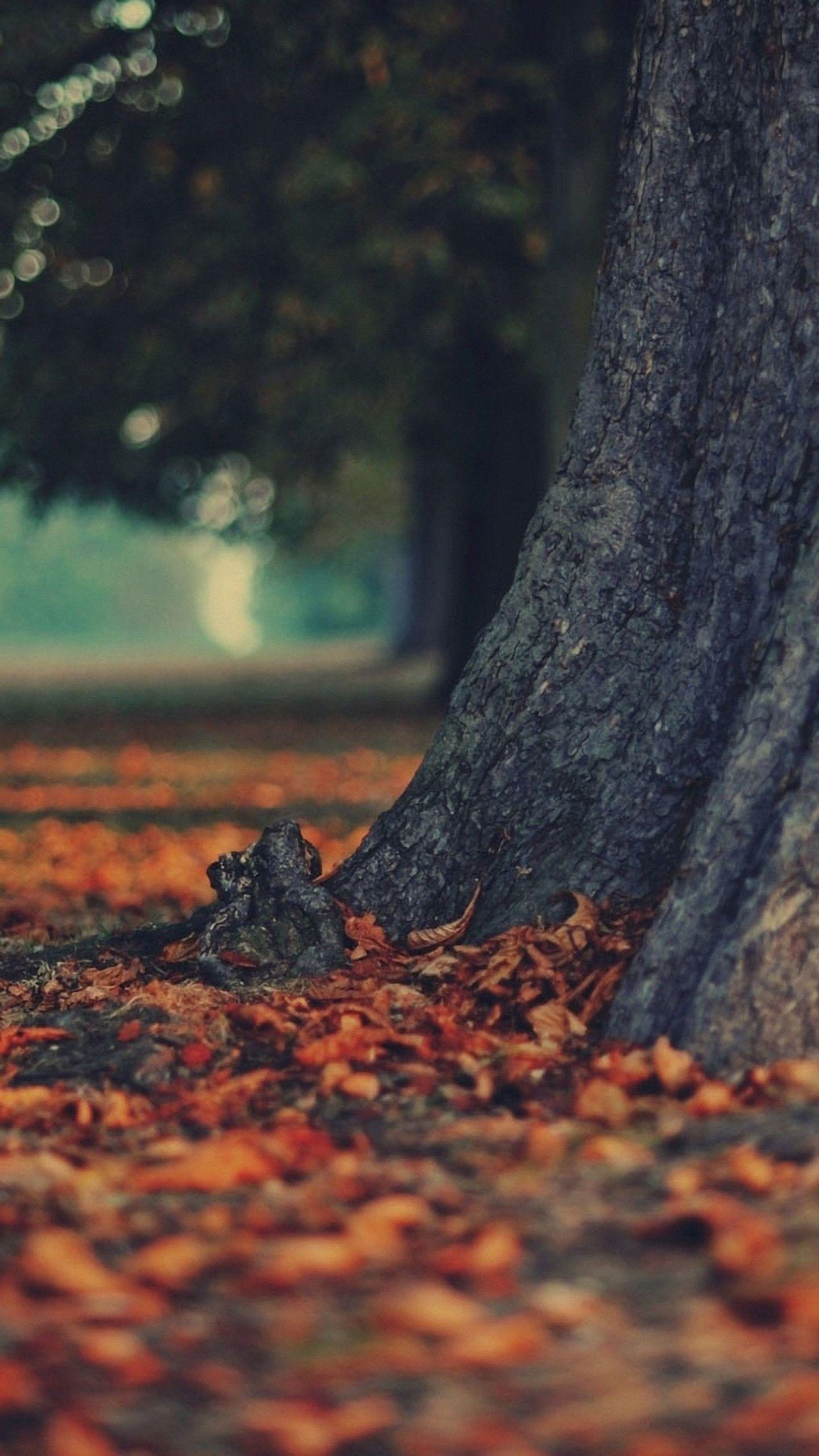 1440X2560 Vertical Wallpapers - Top Free 1440X2560 Vertical Backgrounds ...