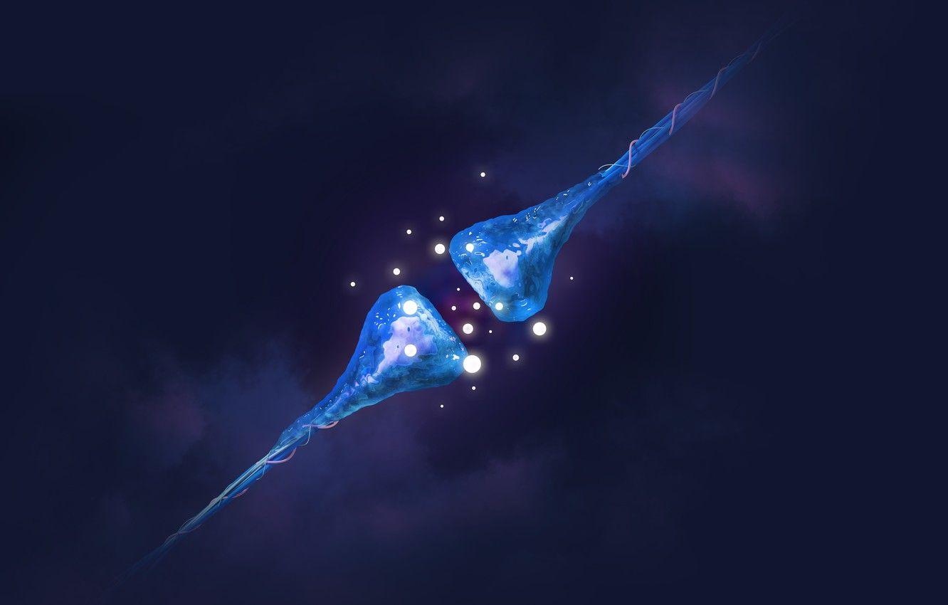 Synapse Wallpapers - Top Free Synapse Backgrounds - WallpaperAccess