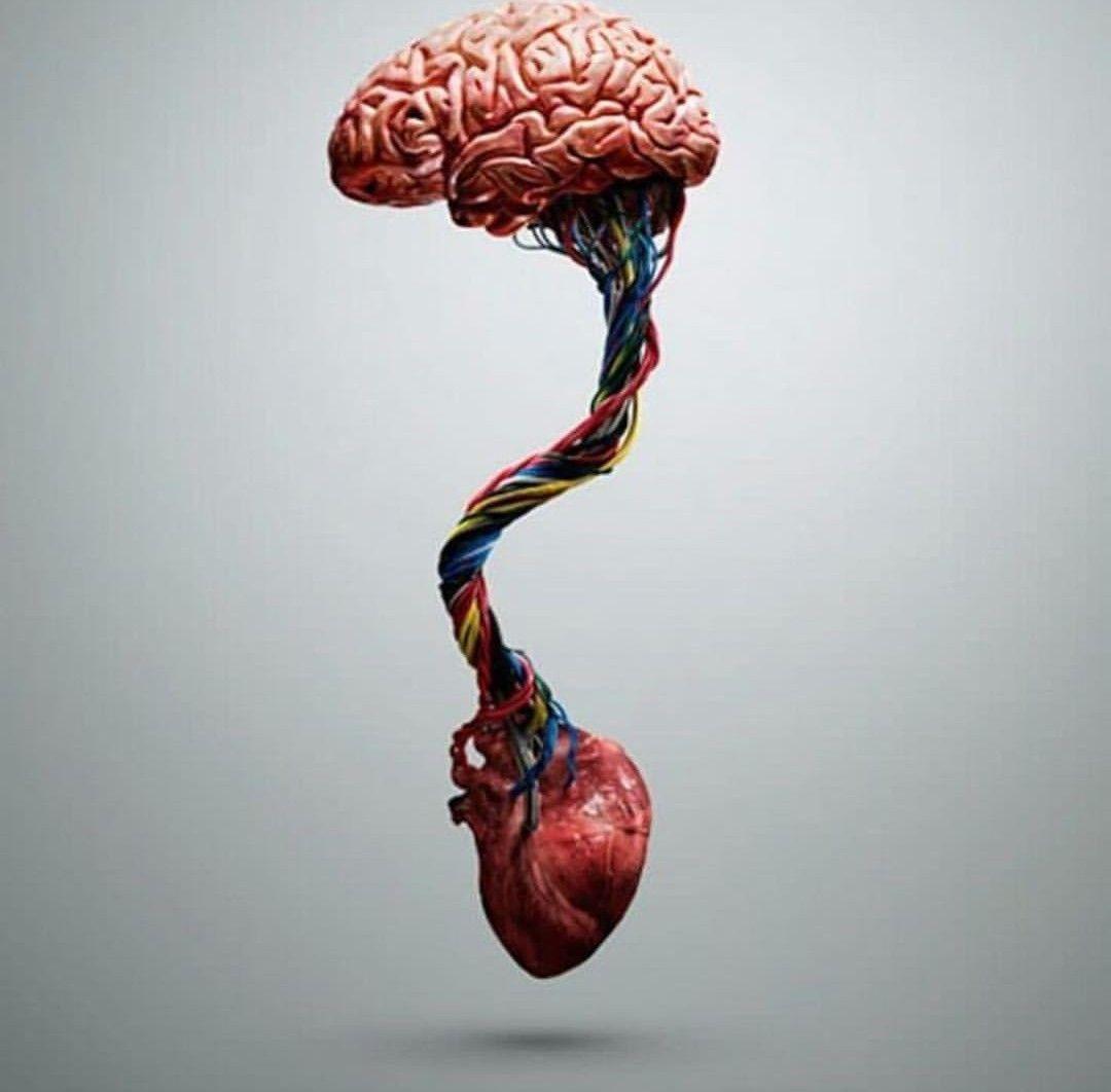 Brain and Heart Wallpapers - Top Free Brain and Heart Backgrounds ...