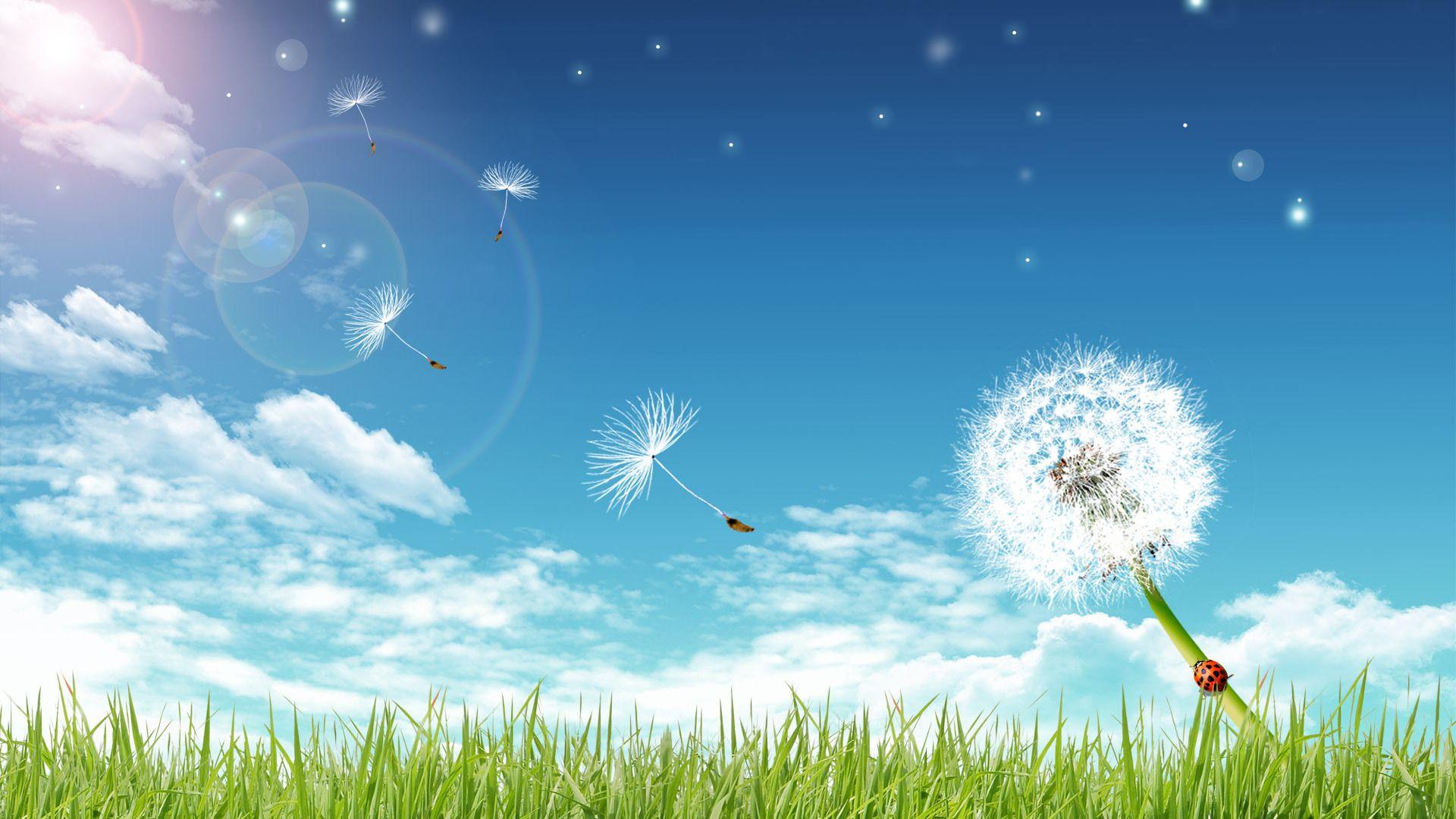 Sunny Spring Wallpapers - Top Free Sunny Spring Backgrounds ...