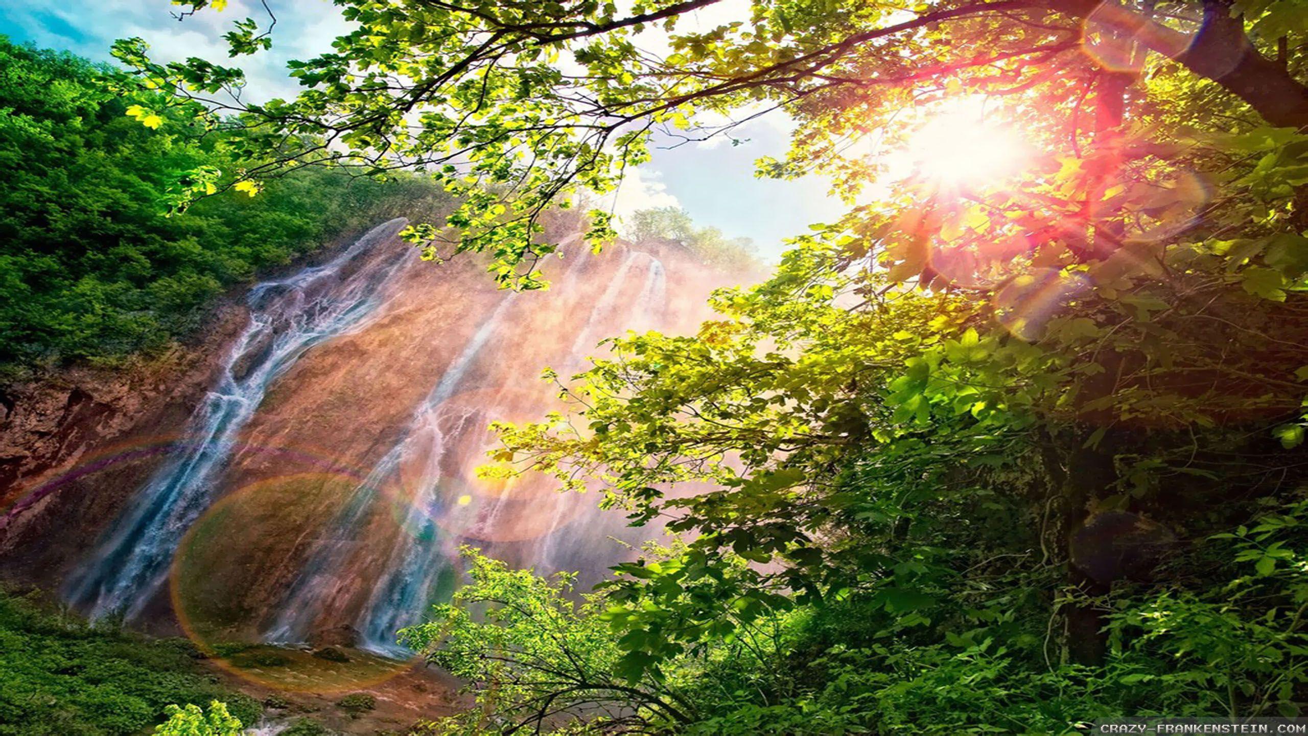 Sunny Spring Wallpapers - Top Free Sunny Spring Backgrounds ...