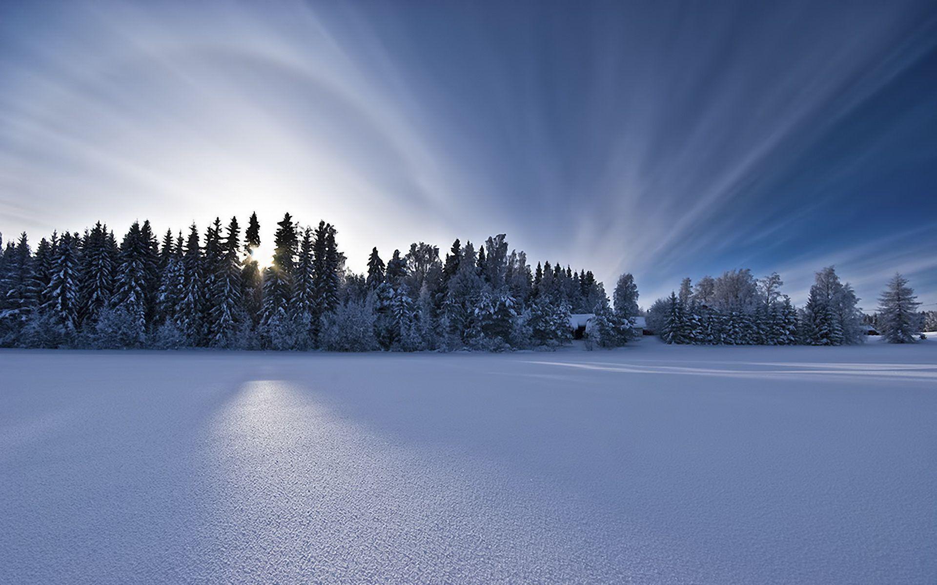 Plain Winter Wallpapers - Top Free Plain Winter Backgrounds ...