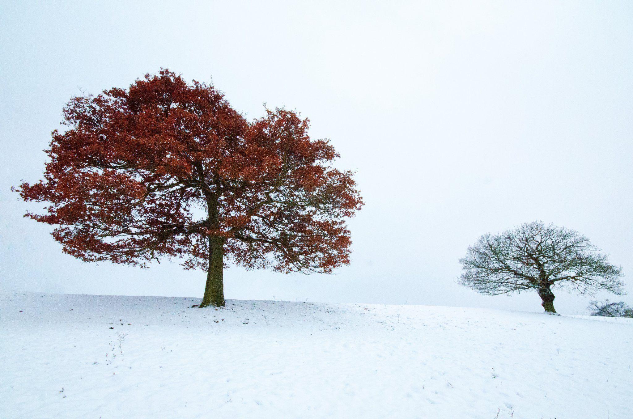 Plain Winter Wallpapers - Top Free Plain Winter Backgrounds ...