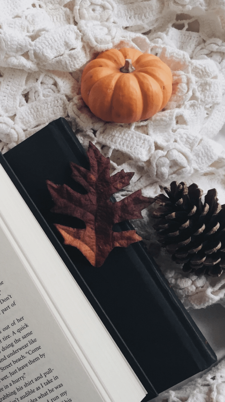 Fall Tumblr Photography Wallpapers - Top Free Fall Tumblr Photography ...